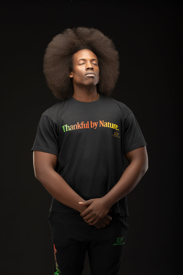 The Lurie Daniel Favors Collection